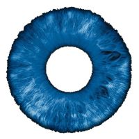 The Voroscope – Exploring the totality of human knowledge